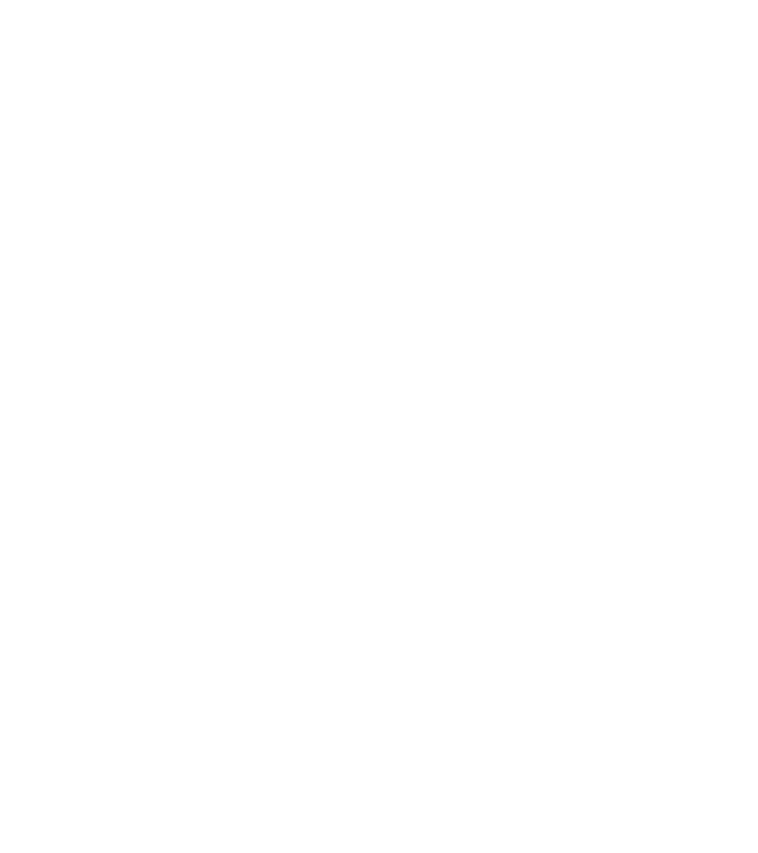 Studio Lingo - ინგლისური ენის კურსები